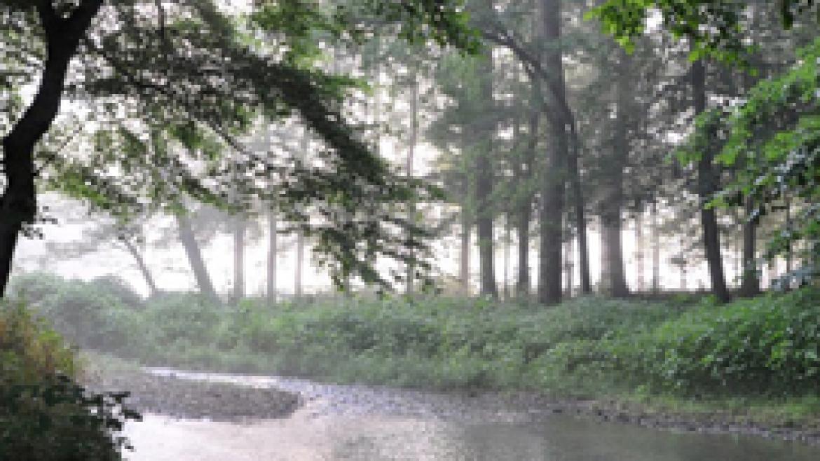 Introducing ITPI Path of Practice membership | Integral Transformative Practice