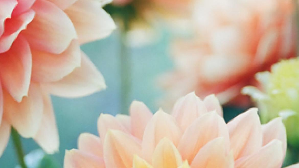 Integrating Body, Mind, Heart, and Soul | Integral Transformative Practice