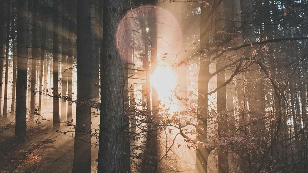 CENTER in the Practice of GRACE | Integral Transformative Practice