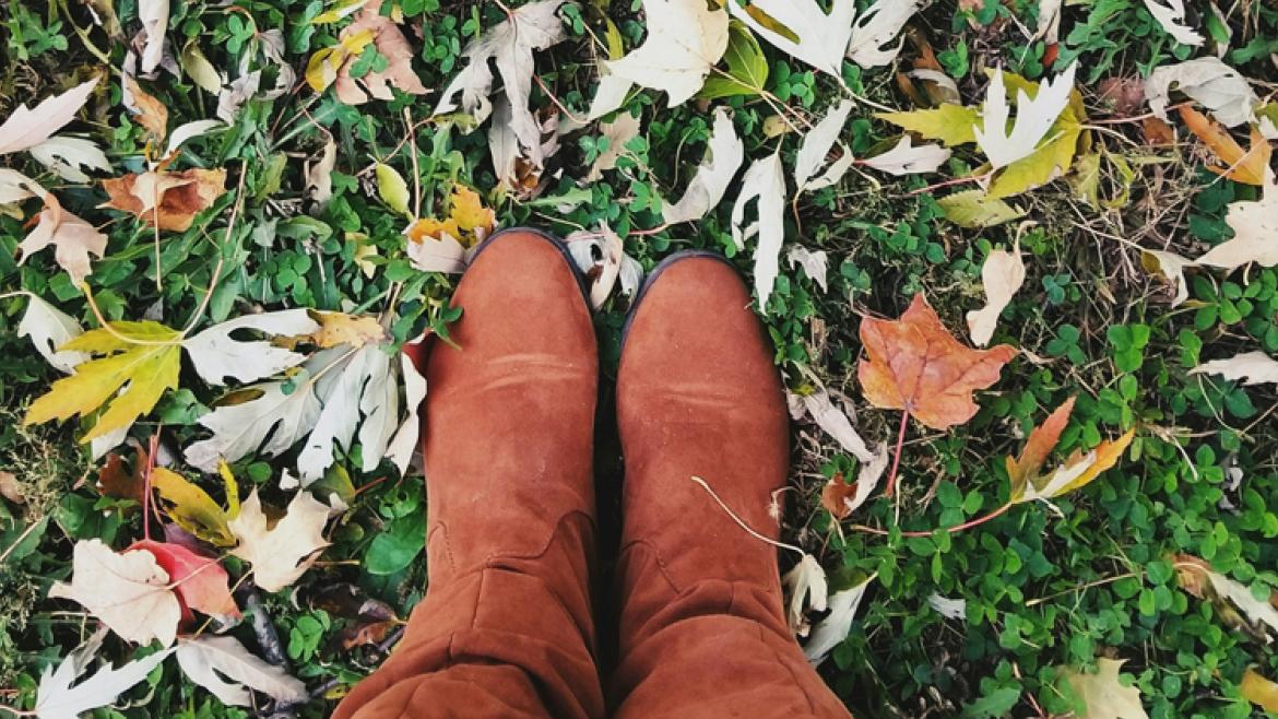 It Begins with GROUND | Integral Transformative Practice