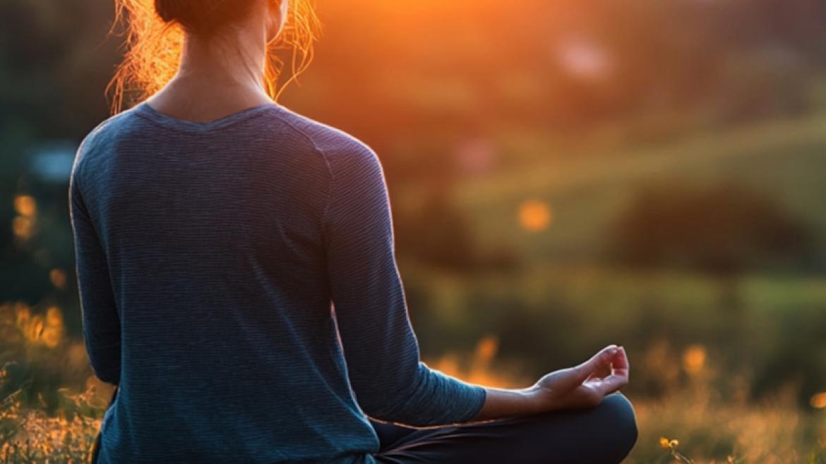 ITP Core Practice Intentions – A Solid Place to Land and Stand | Integral Transformative Practice