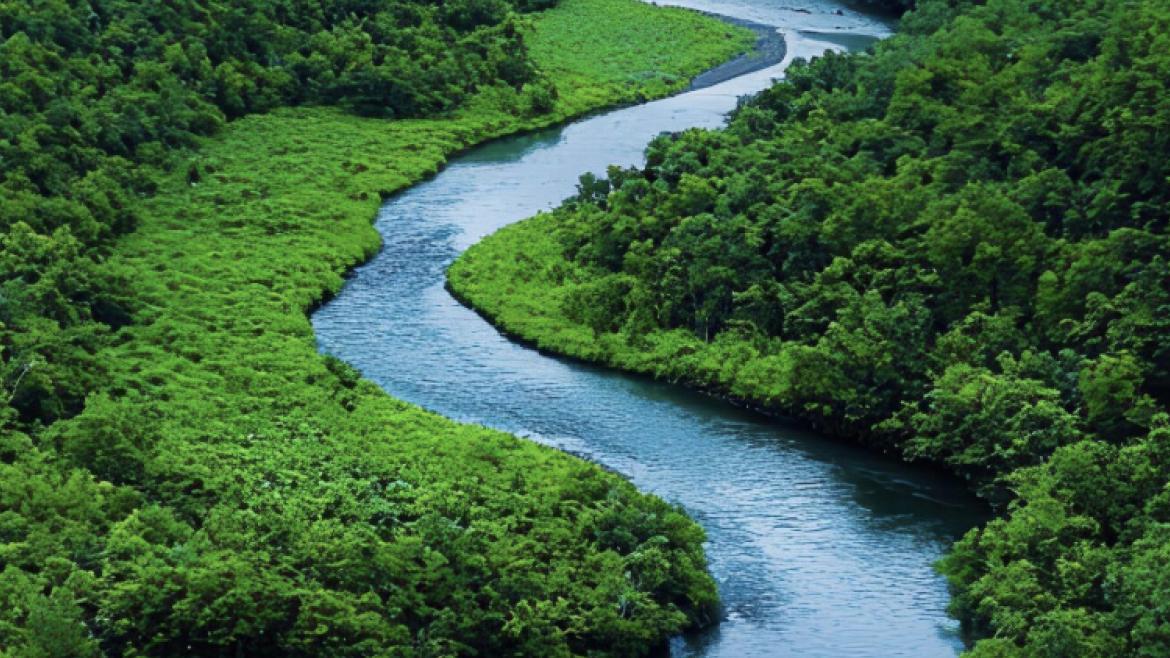 An Integral Approach for Navigating Transition: | Integral ...