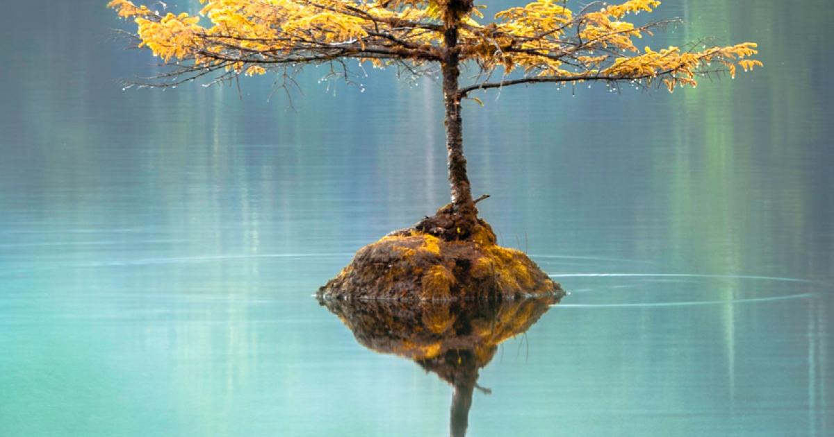 Transformative Stillness | Integral Transformative Practice