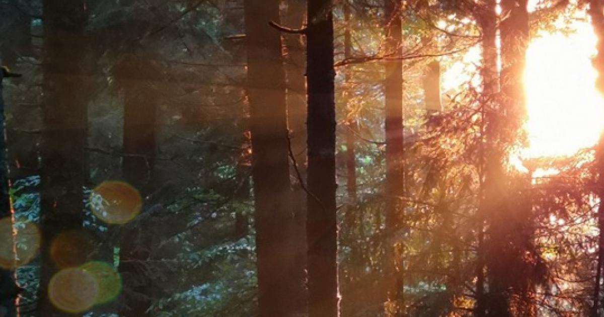 Experience the Extraordinary | Integral Transformative Practice