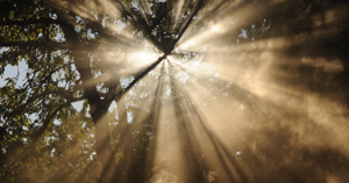 Experience the Extraordinary | Integral Transformative Practice