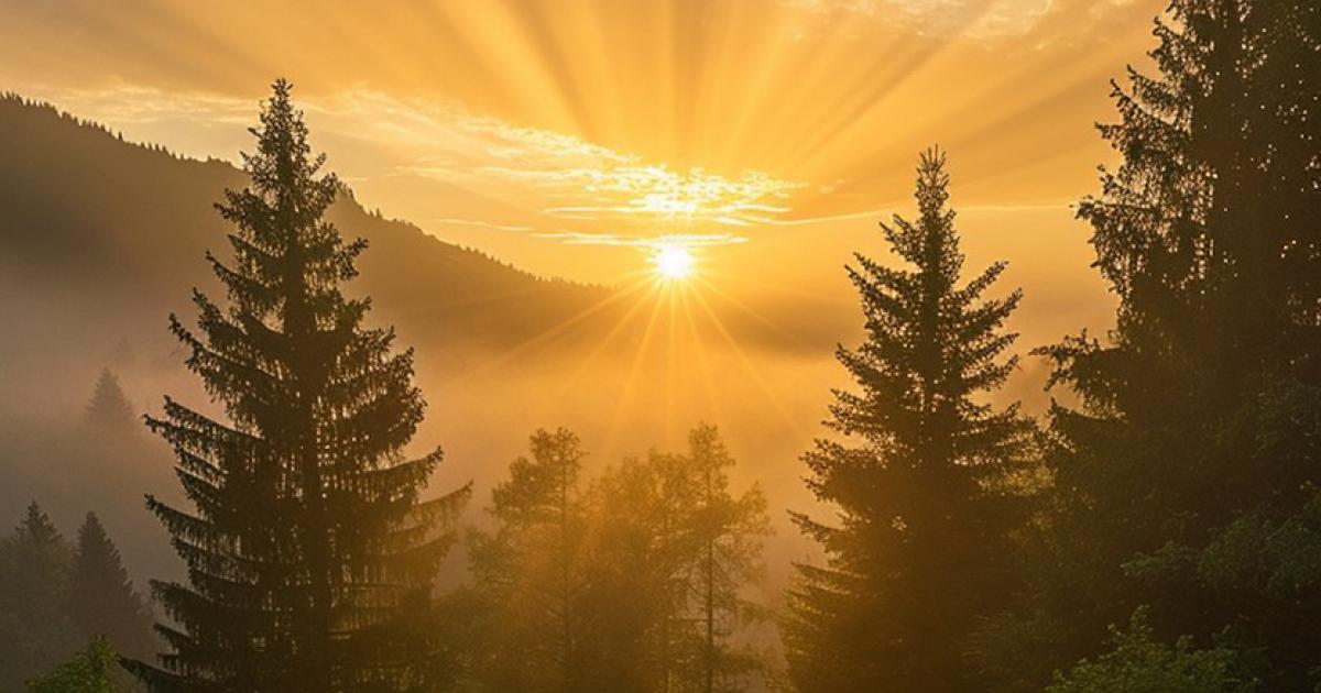 Ground Your Life Through Practice | Integral Transformative Practice