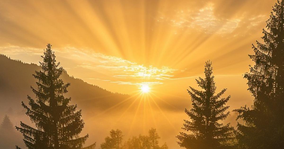 Ground Your Life Through Practice | Integral Transformative Practice