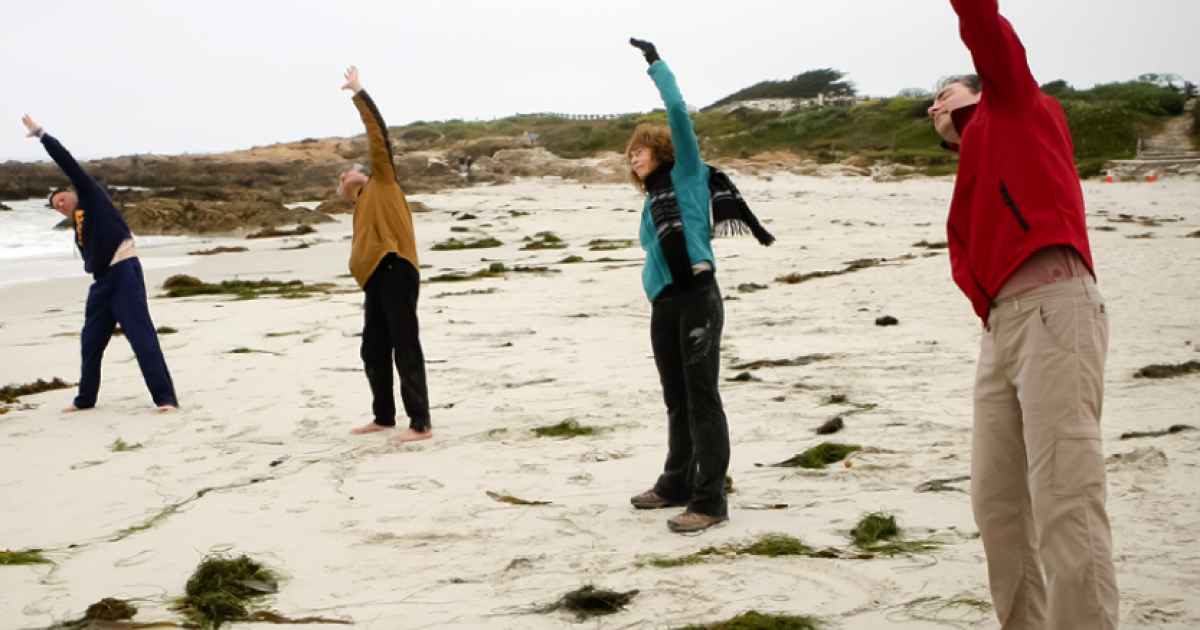 ITP Weekly Kata Sessions – on Zoom | Integral Transformative Practice